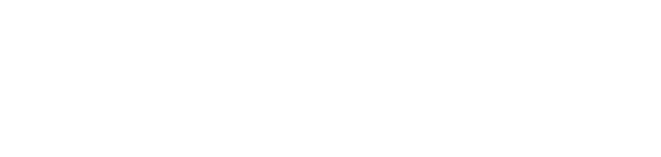 About IndiGO Auto Group